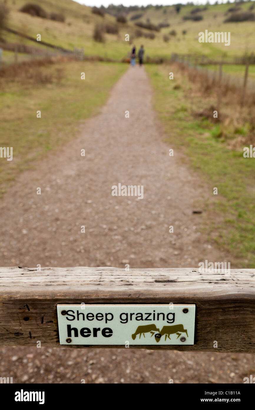 'sheep grazing here' sign on gate Stock Photo - Alamy