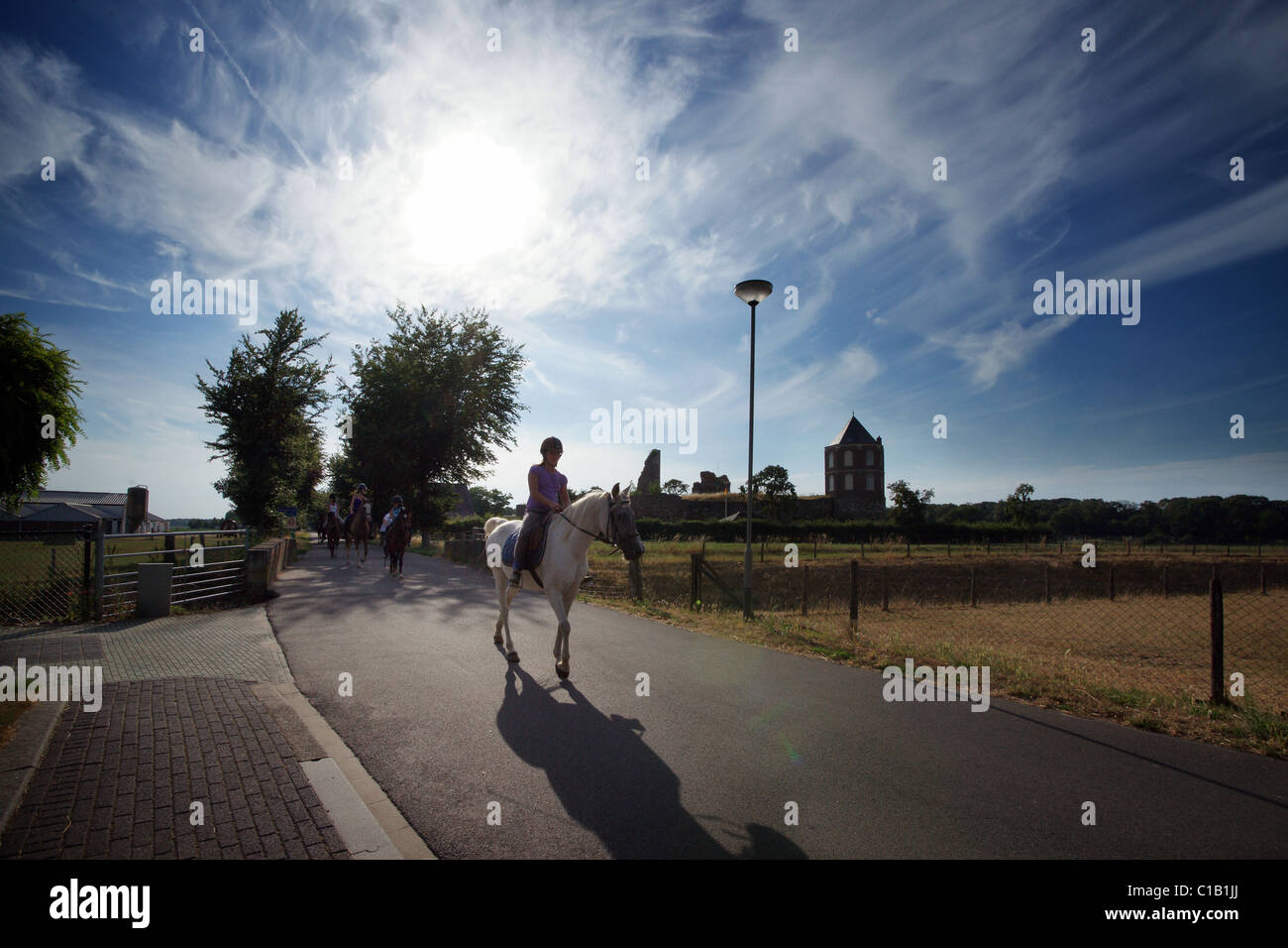 girl riding on horse in Dutch landscape Stock Photo - Alamy