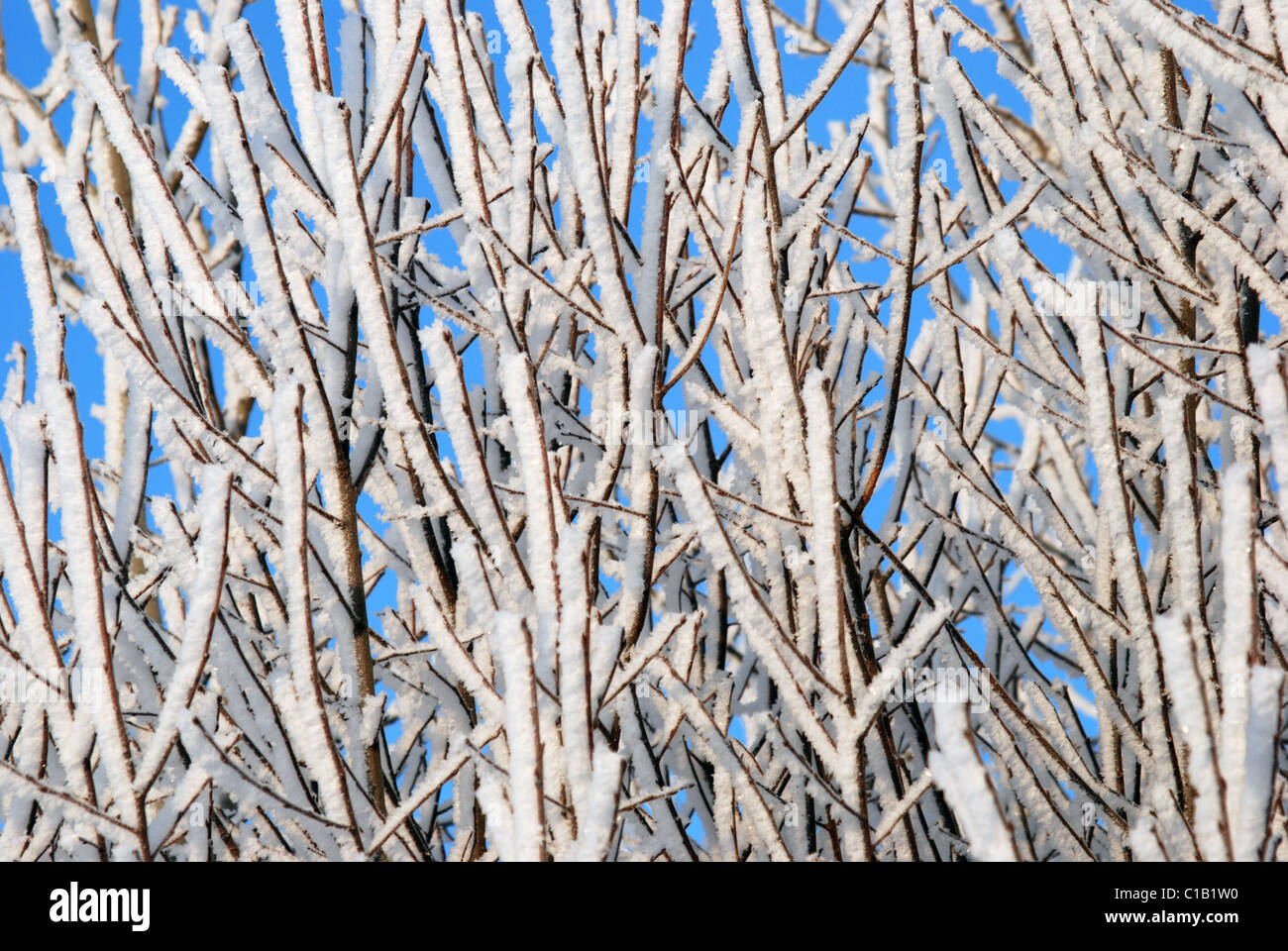 Frost pocket hi-res stock photography and images - Alamy