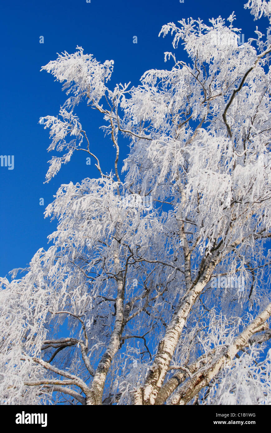 Frost pocket hi-res stock photography and images - Alamy
