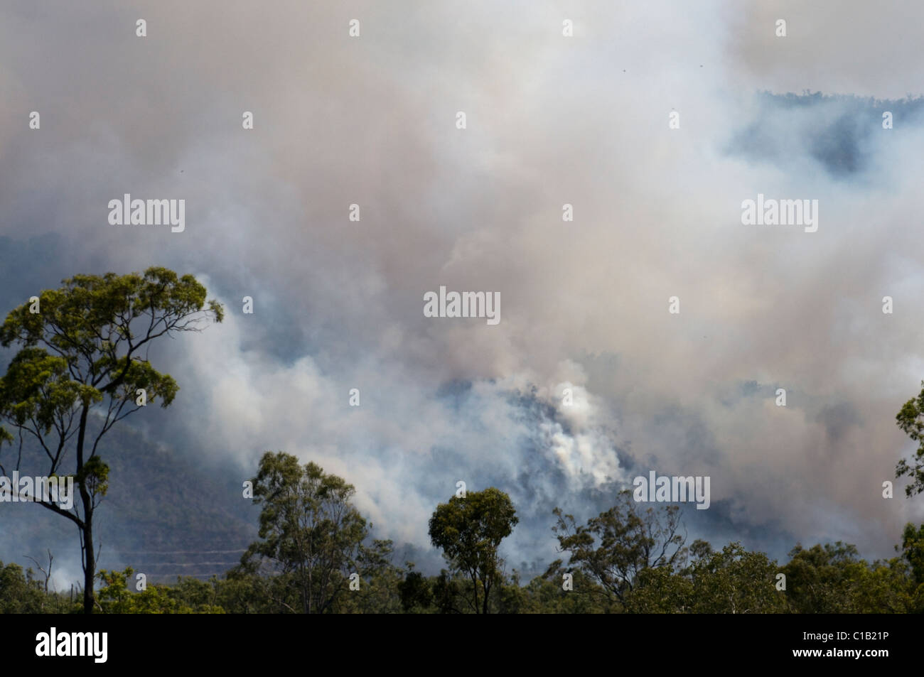 Large forest fire near Cairns Queensland Australia Stock Photo - Alamy