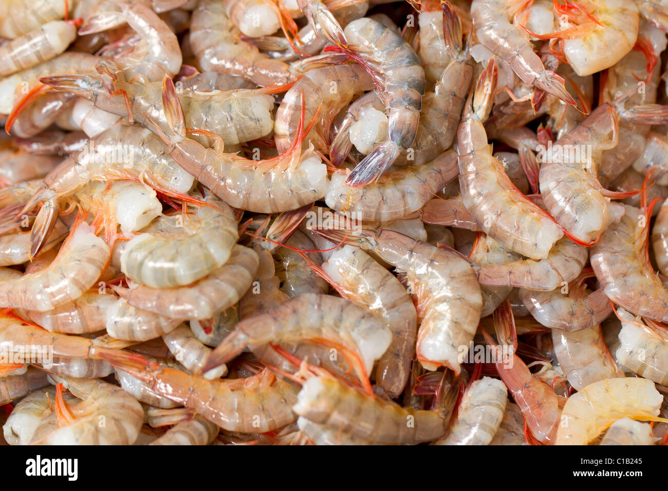 Fresh Shrimp Ready To Be Sold Stock Photo - Alamy