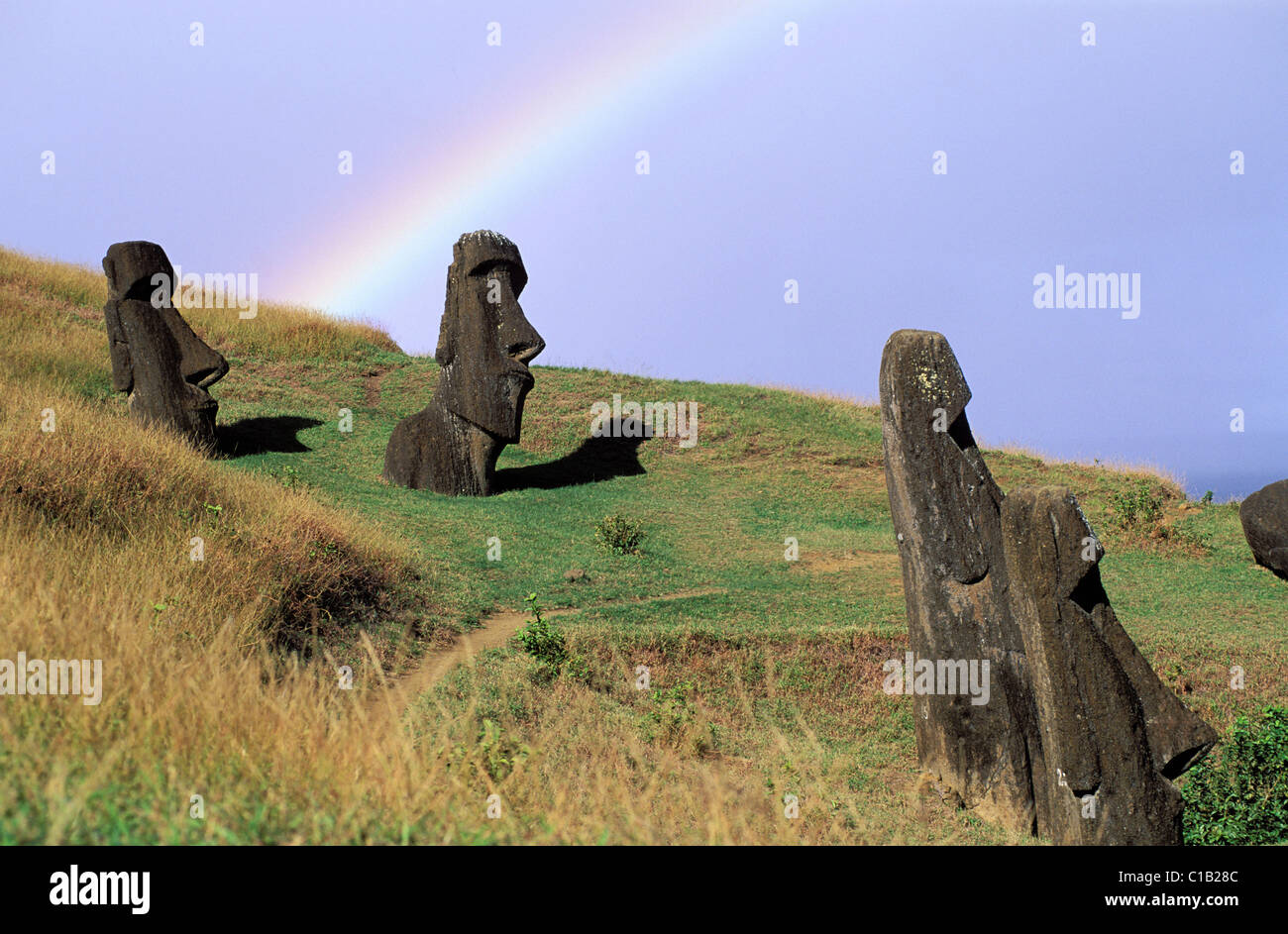 Moai statue rano raraku big High Resolution Stock Photography and ...