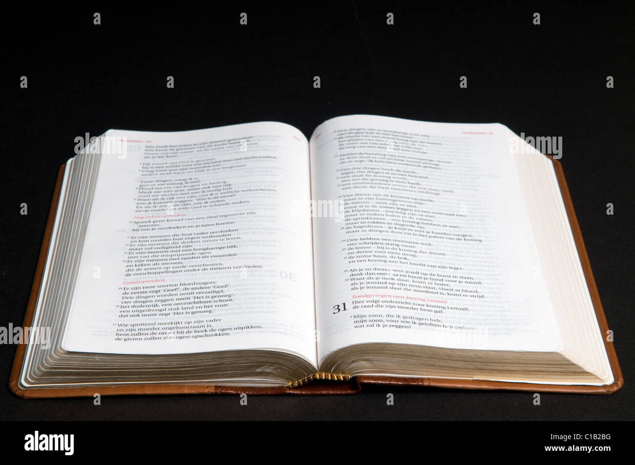 Bible on black background Stock Photo - Alamy
