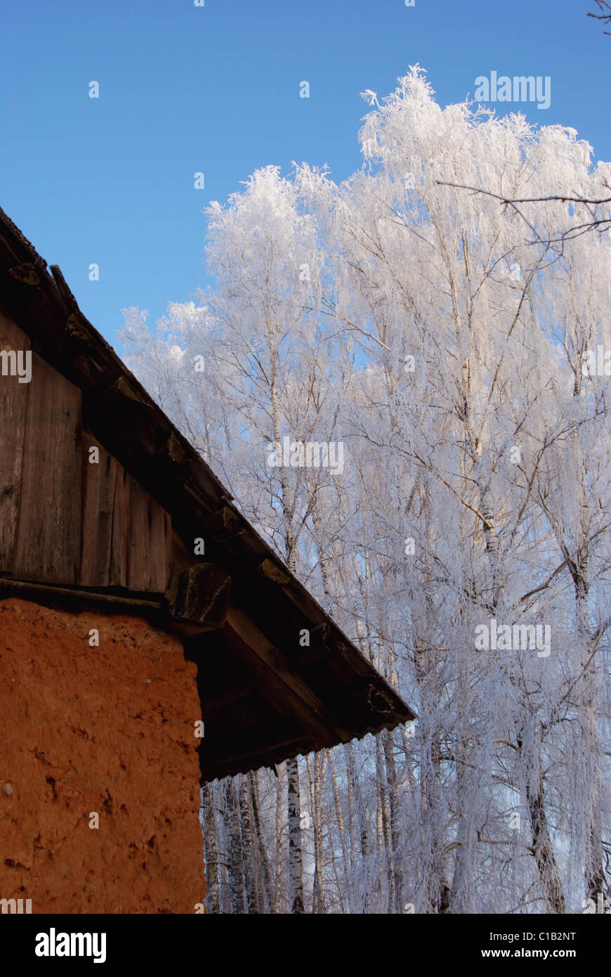 With fictile hi-res stock photography and images - Alamy