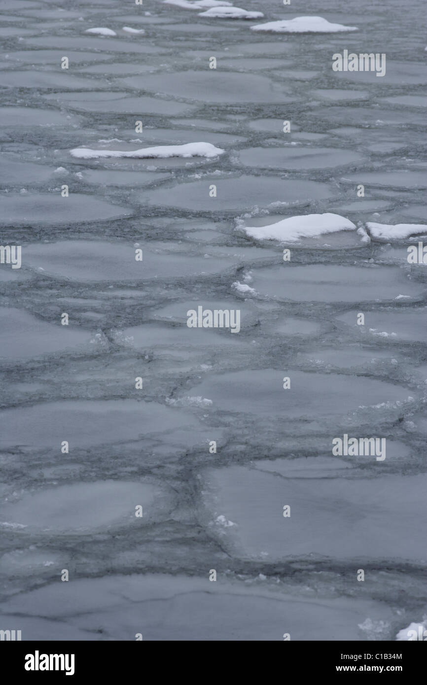 Pancake ice sea hi-res stock photography and images - Alamy