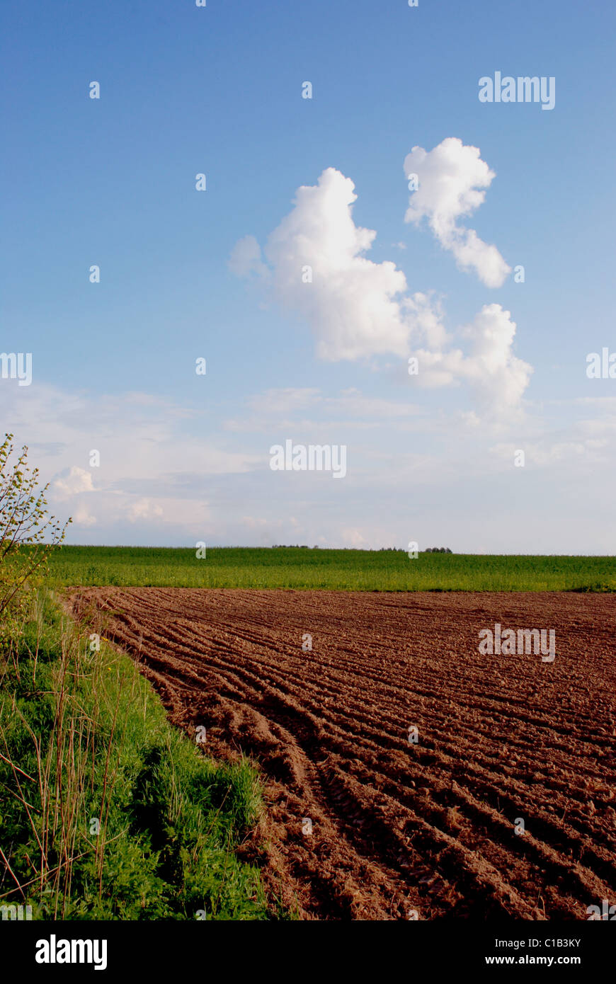 Freshly dig soil hi-res stock photography and images - Alamy