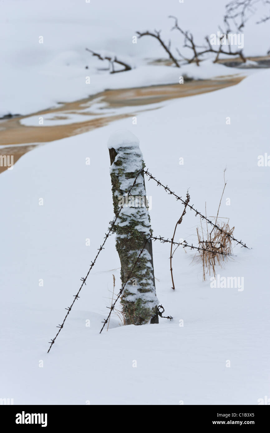 Tranquil field hi-res stock photography and images - Alamy