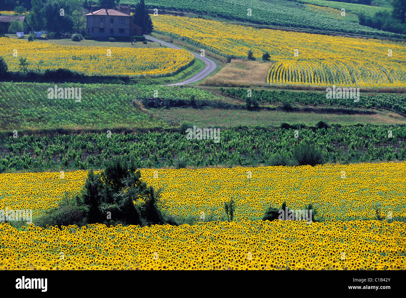 Cordes region hi-res stock photography and images - Alamy