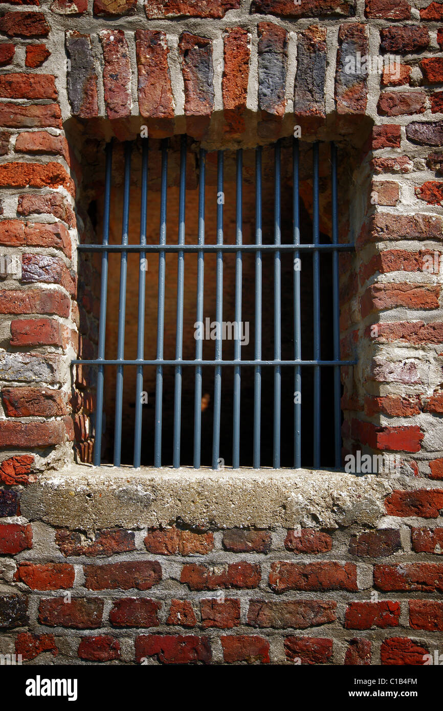 Prison Window Bars