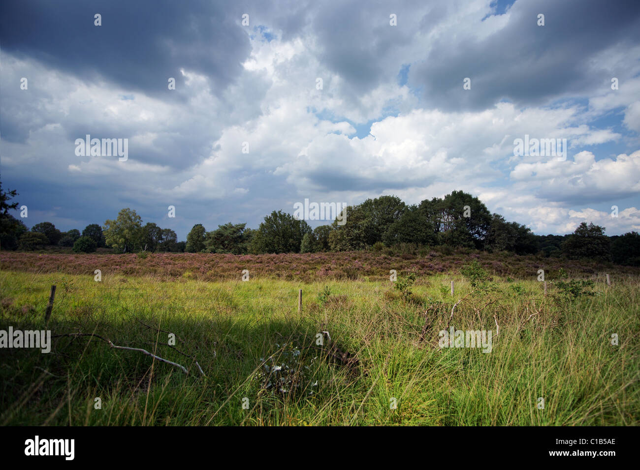 Moorland hike hi-res stock photography and images - Alamy