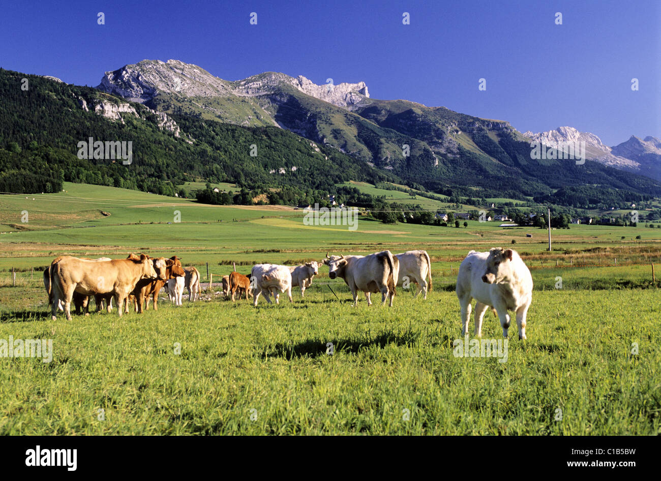 France, Isere, Lans en Vercors plateau in the Vercors natural regional ...