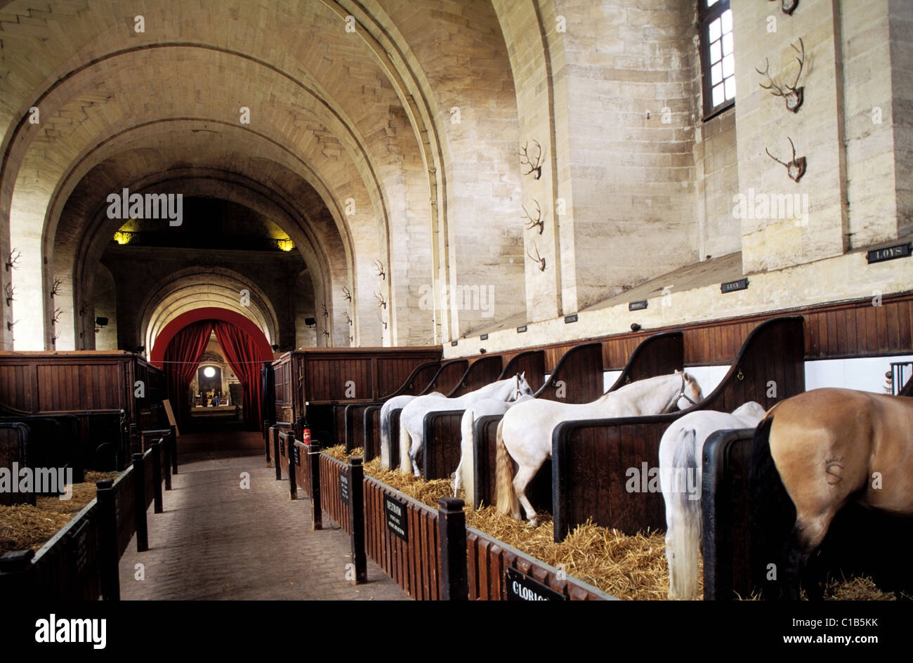 France, Oise, Chantilly, Horse Museum, big Stables Stock Photo - Alamy