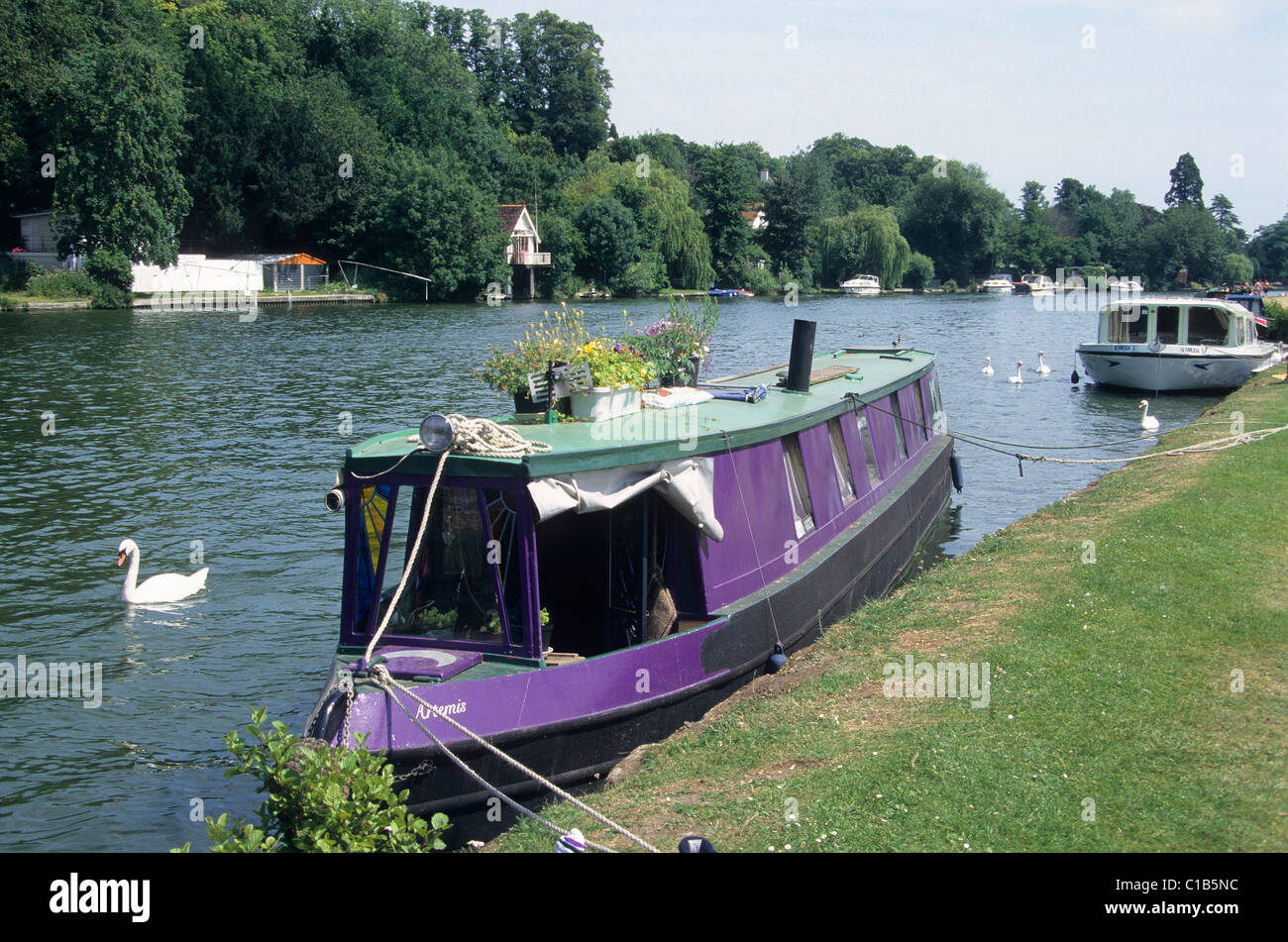 House boat moored at riverbank River Thames, Reading Stock Photo - Alamy