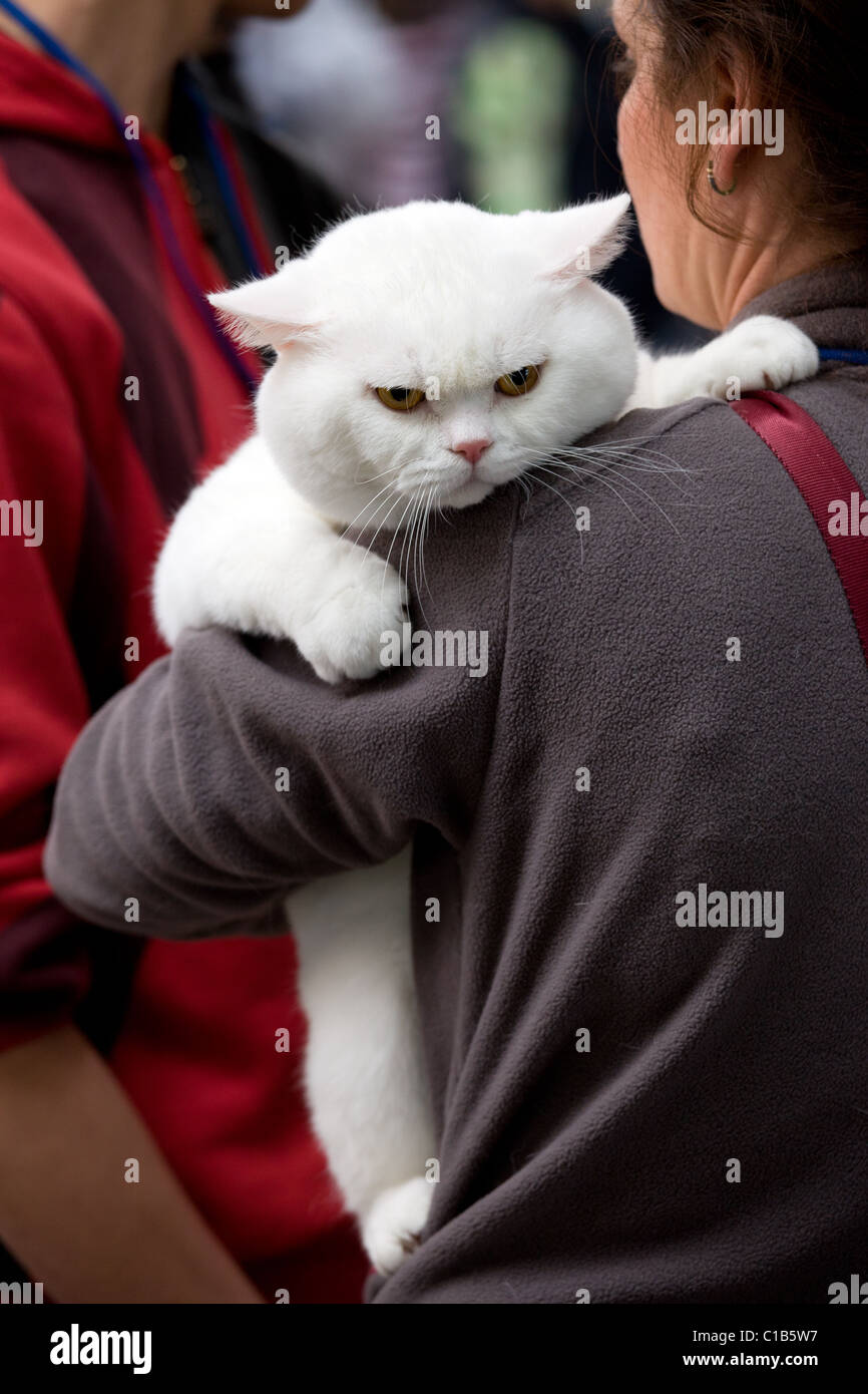And white race hi-res stock photography and images - Alamy