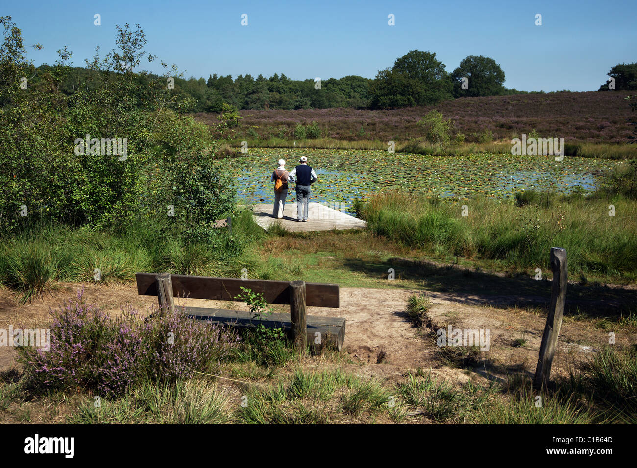 Bench looking out at a lake hi-res stock photography and images - Alamy