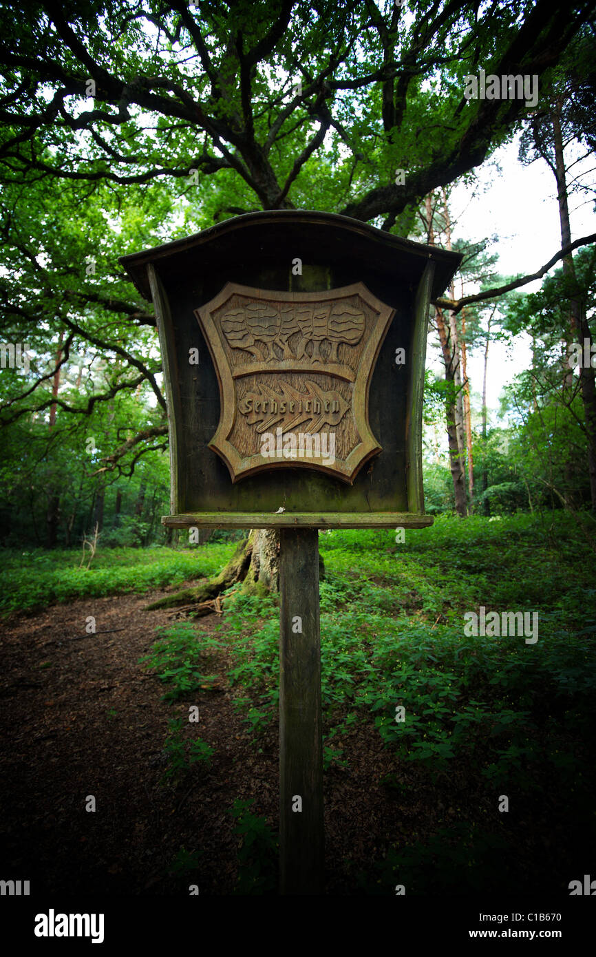 German forrest hi-res stock photography and images - Alamy