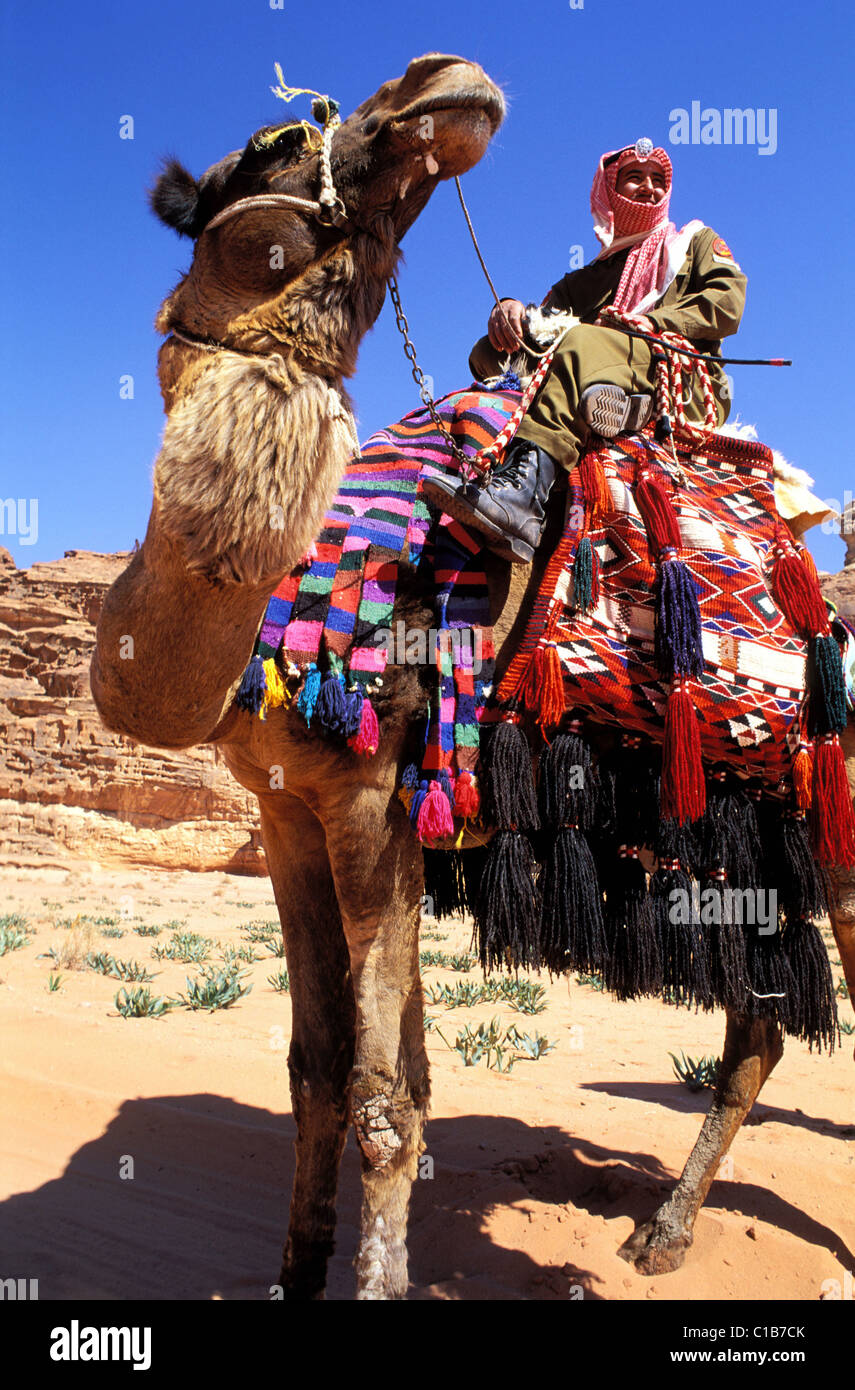 Jordan, Wadi Rum, patrol of Camel Corp or police of the desert on their ...