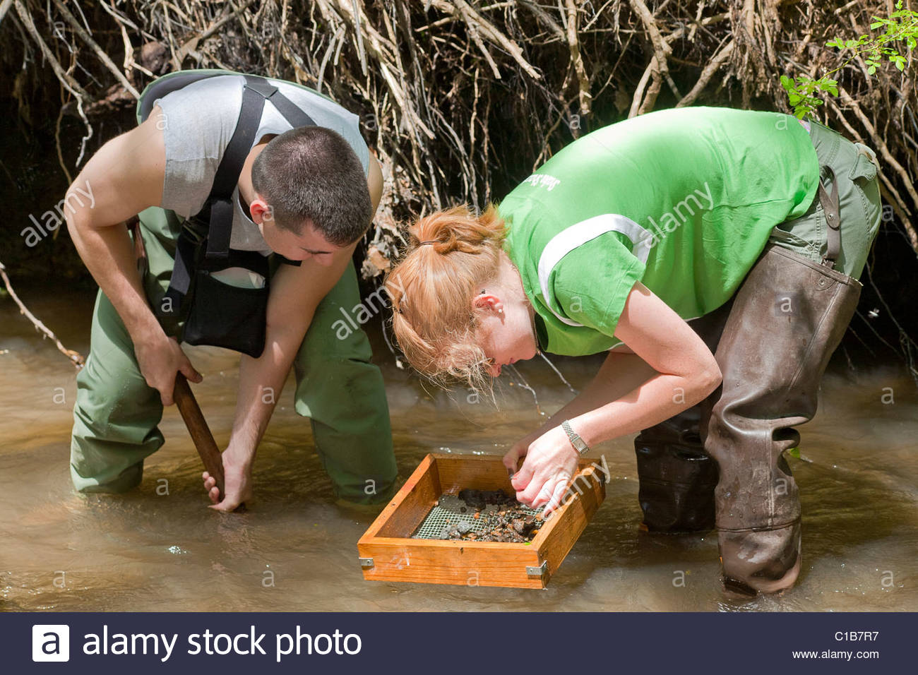 Paleontologist Dig Stock Photos & Paleontologist Dig Stock Images - Alamy