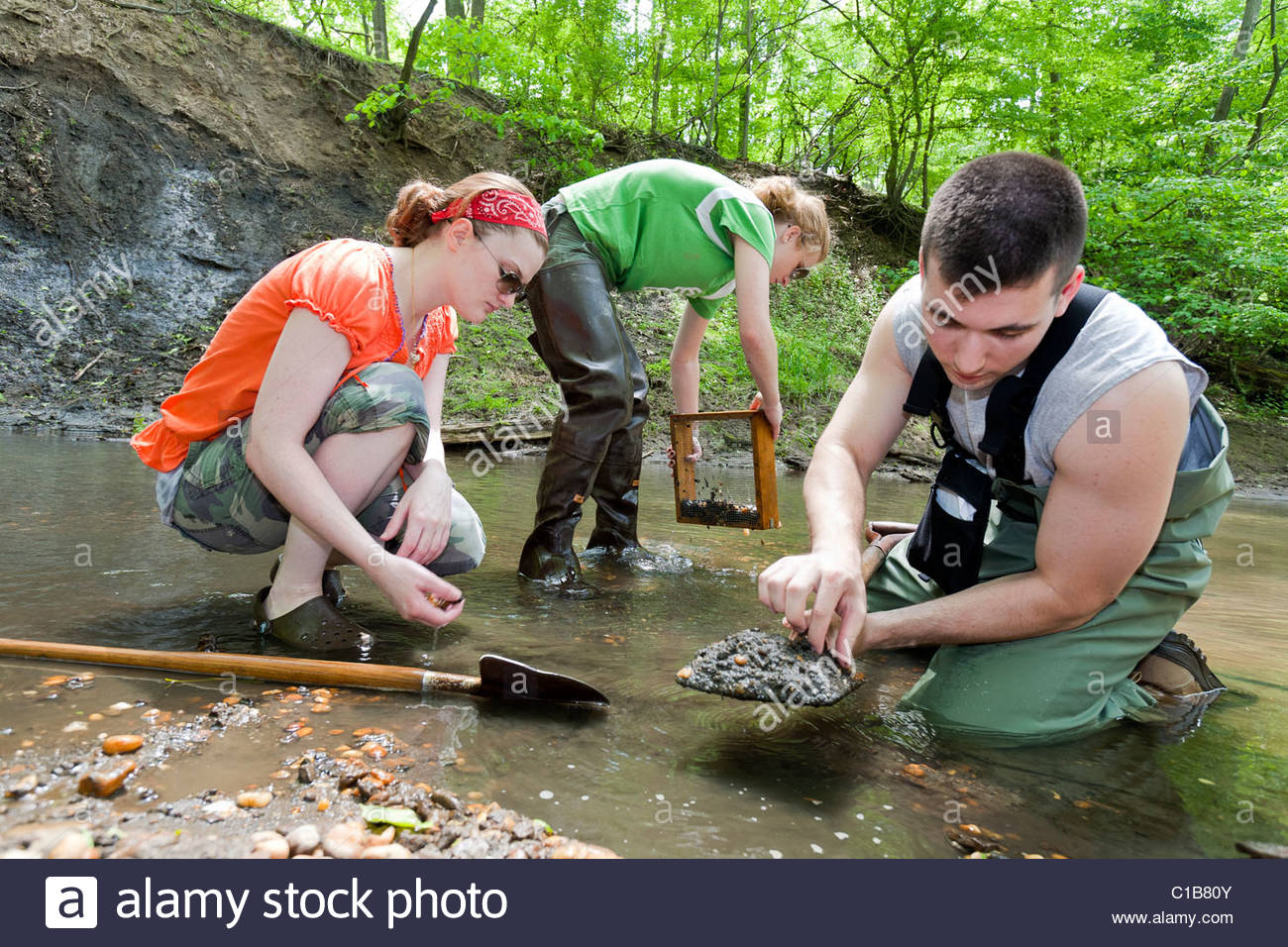 Paleontologist Dig Stock Photos & Paleontologist Dig Stock Images - Alamy