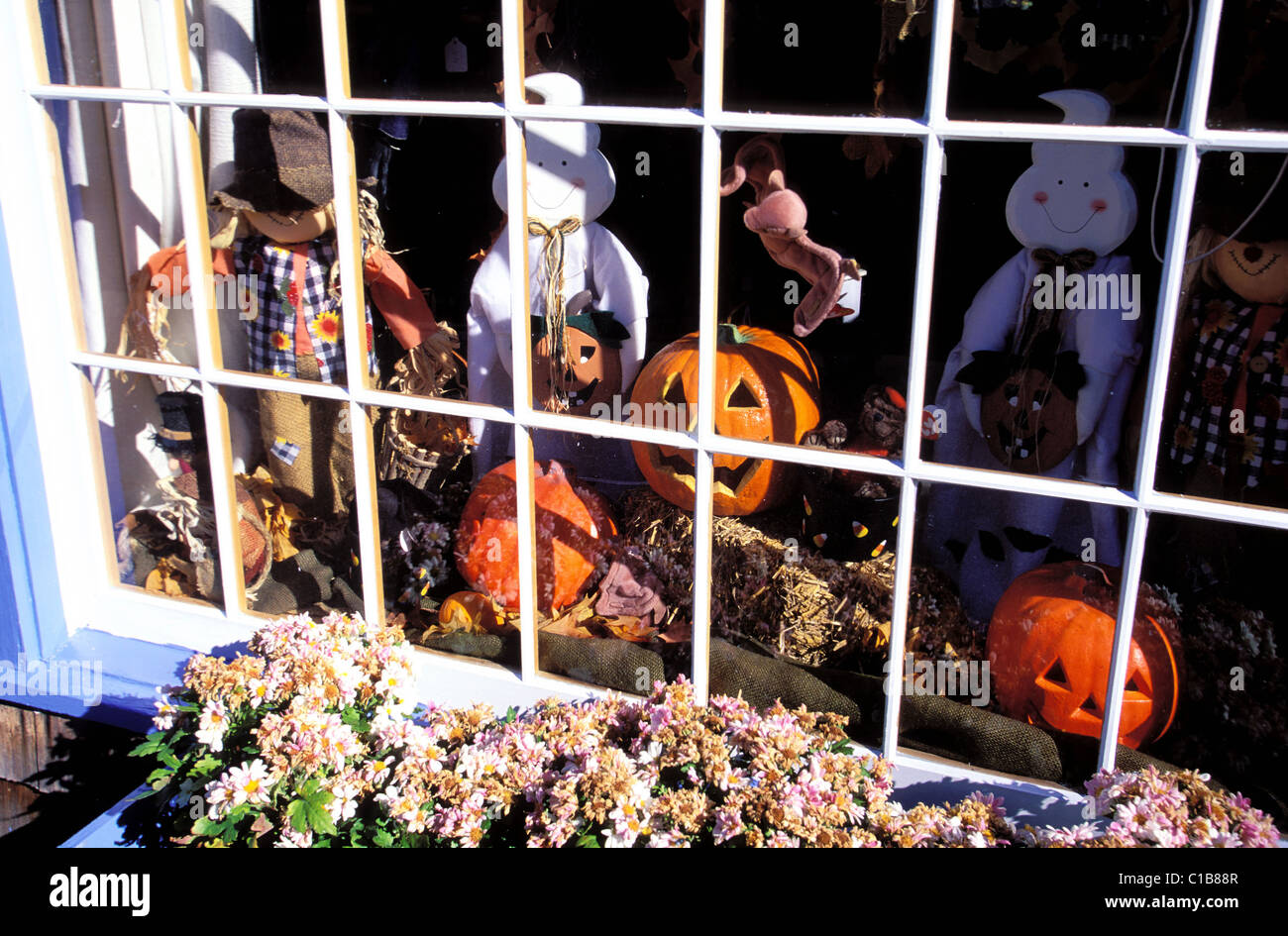 United States, Massachusetts, Rockport, the Bearskin Neck or bear Skin ...