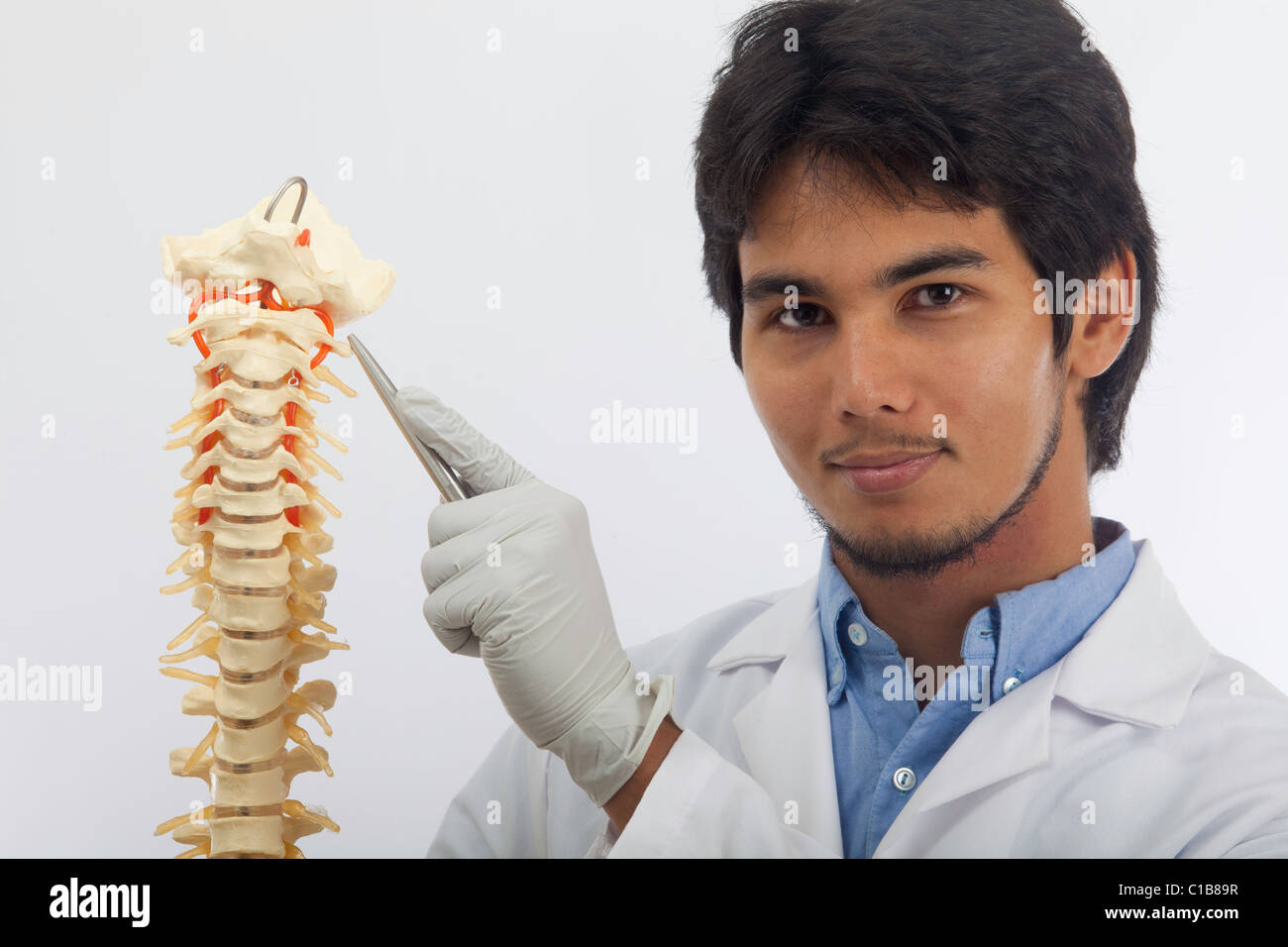 chiropractic doctor with a human spine Stock Photo - Alamy