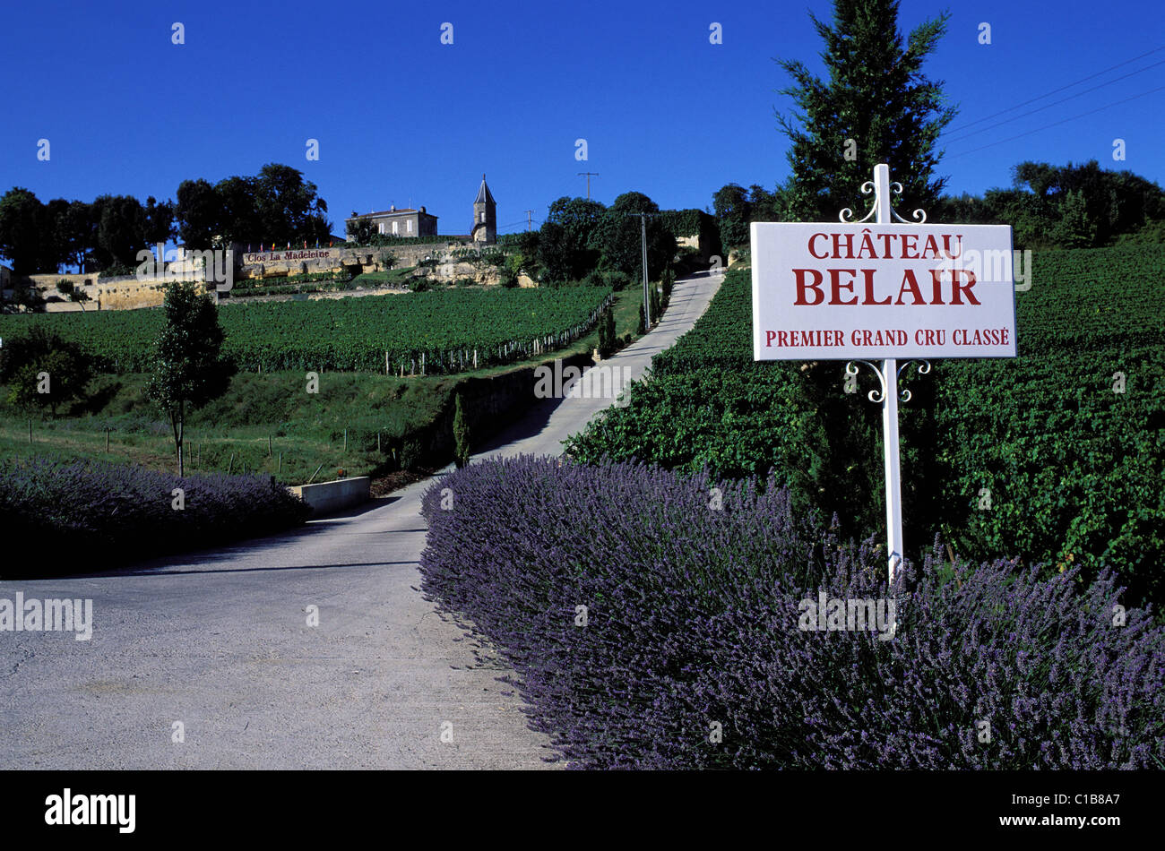 France, Gironde, Saint Emilion, castle of Belair, great vintage wines ...