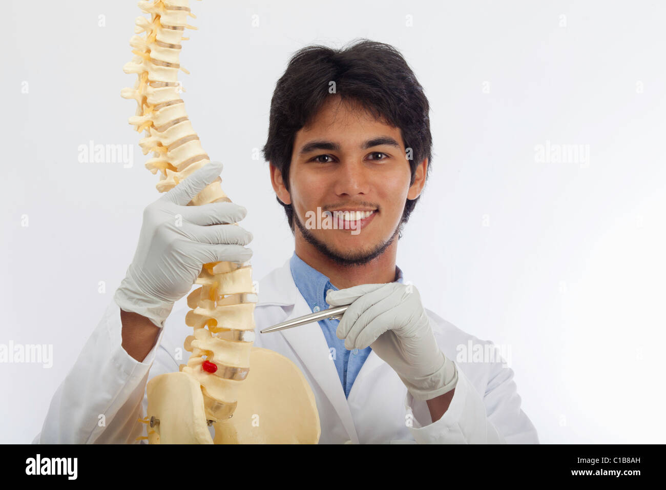 chiropractic doctor with a human spine Stock Photo - Alamy