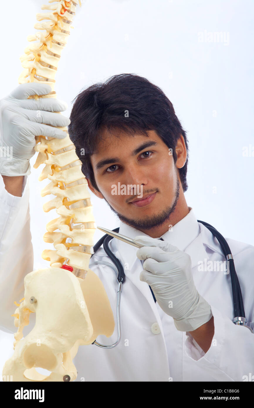 chiropractic doctor with a human spine Stock Photo - Alamy