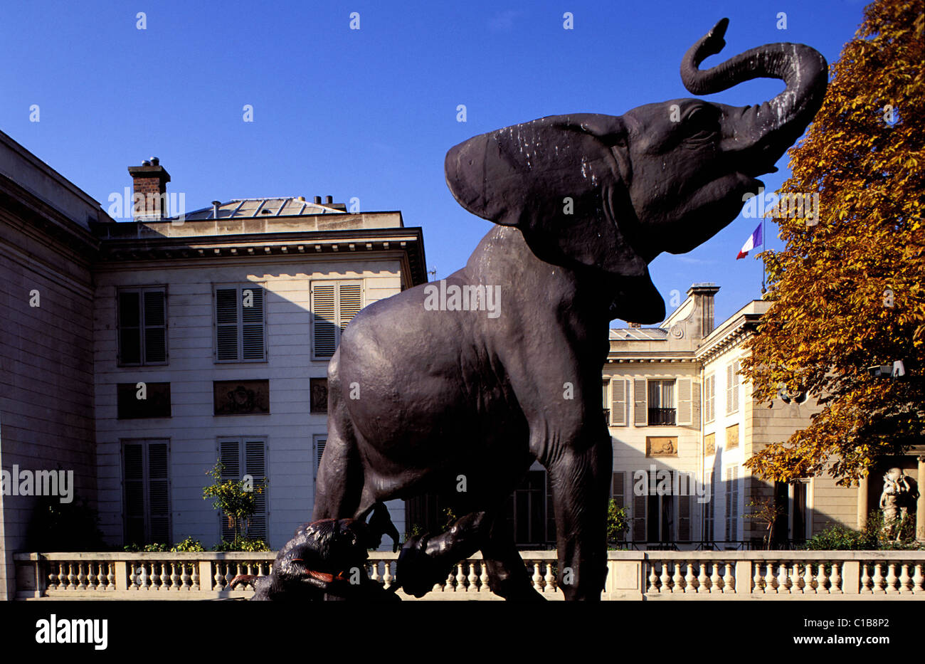 France, Paris, elephant statue on the Orsay Museum square Stock Photo ...