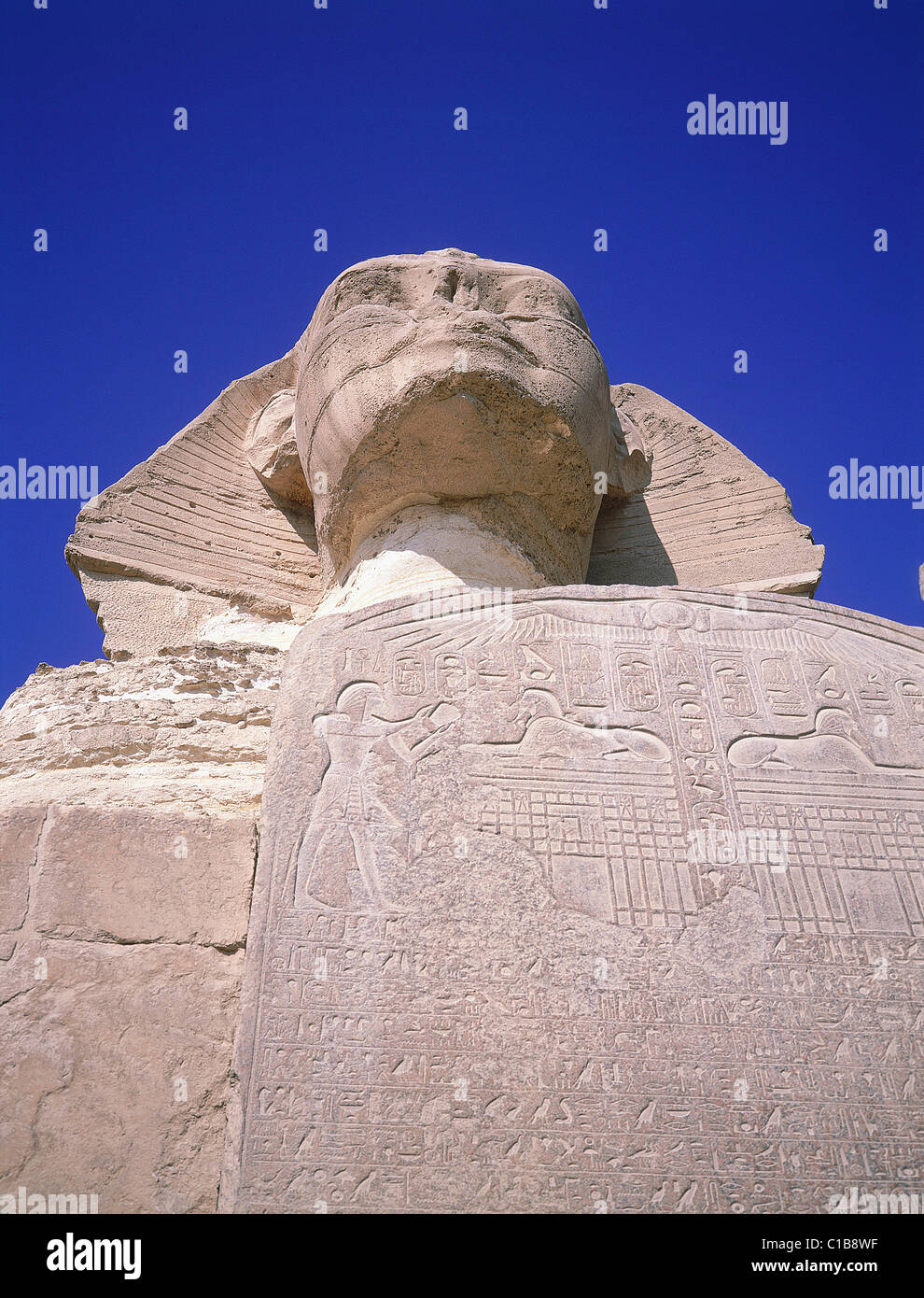 Egypt, Cairo, Giza, the Sphinx Stock Photo - Alamy