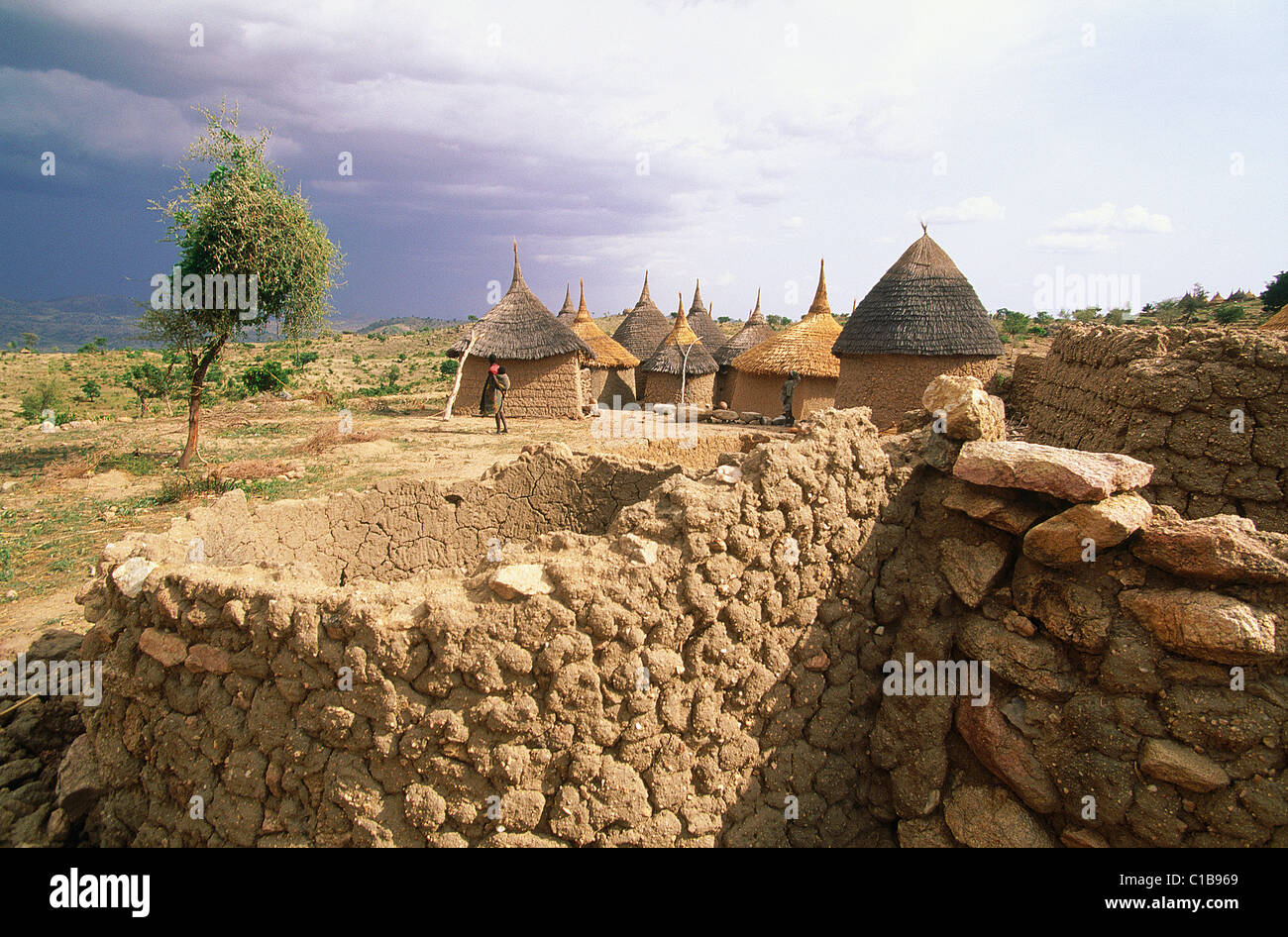 Cameroon, village of Podoko, constituted of cattle manure huts with ...