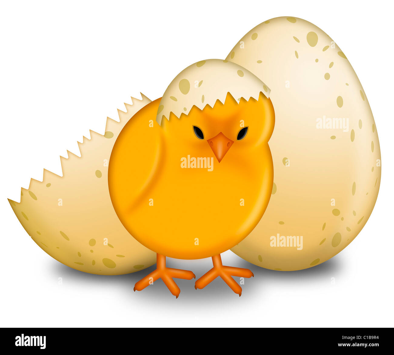 Easter Chick Hatching with Eggshell Illustration Stock Photo - Alamy