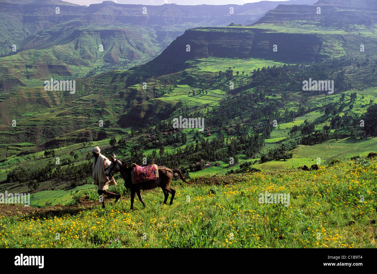 Wollo Stock Photos & Wollo Stock Images - Alamy