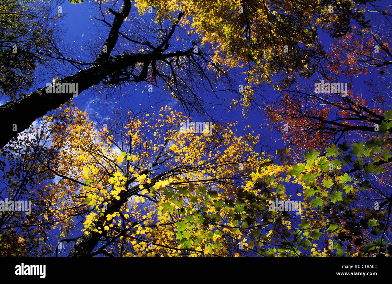 Quebec autumn laurentian mountains hi-res stock photography and images ...