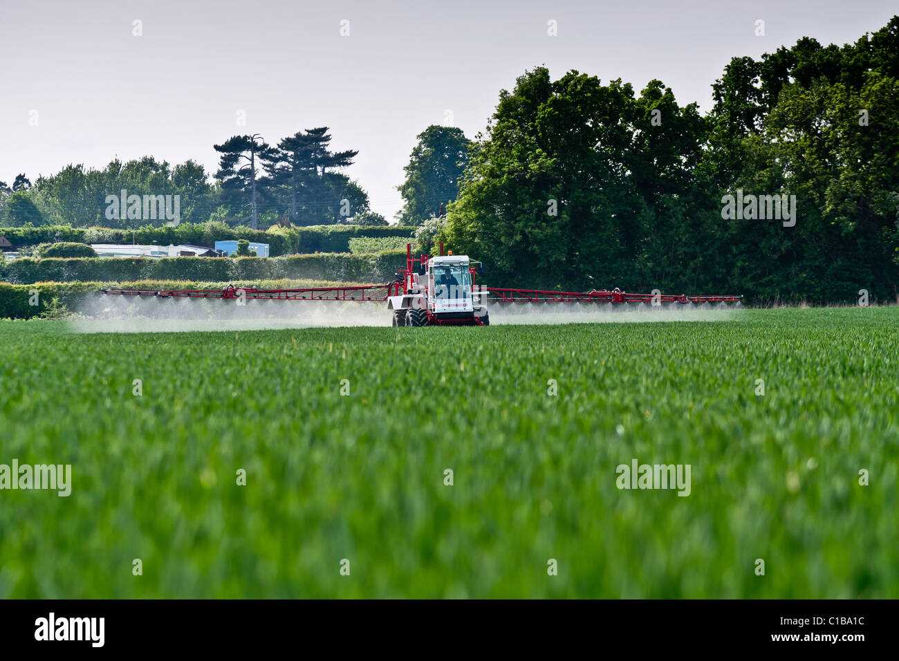 Alanco Spray ranger spraying wheat in June Stock Photo - Alamy