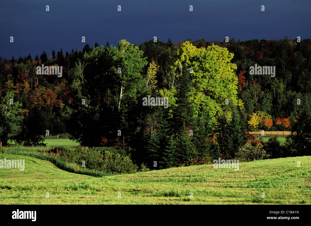 Canada, Quebec Province, Saguenay, countryside in the region of Sacre ...