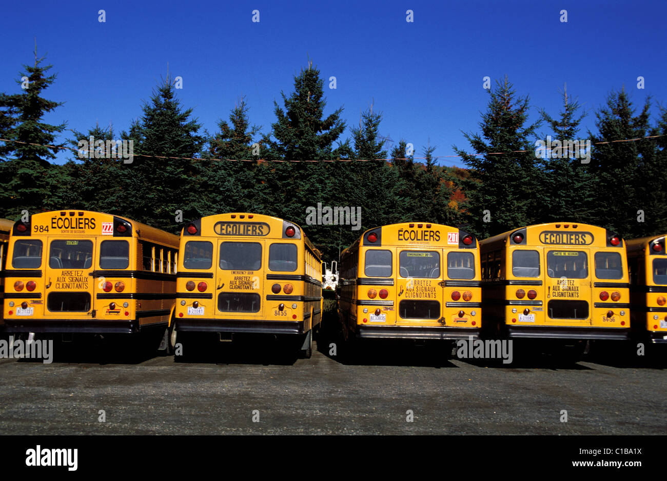 Canada, Quebec Province, school bus service Stock Photo - Alamy