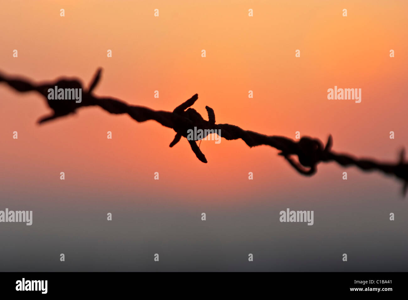 Barb wire shot at sunset with the typical backdrop of sunset colors ...