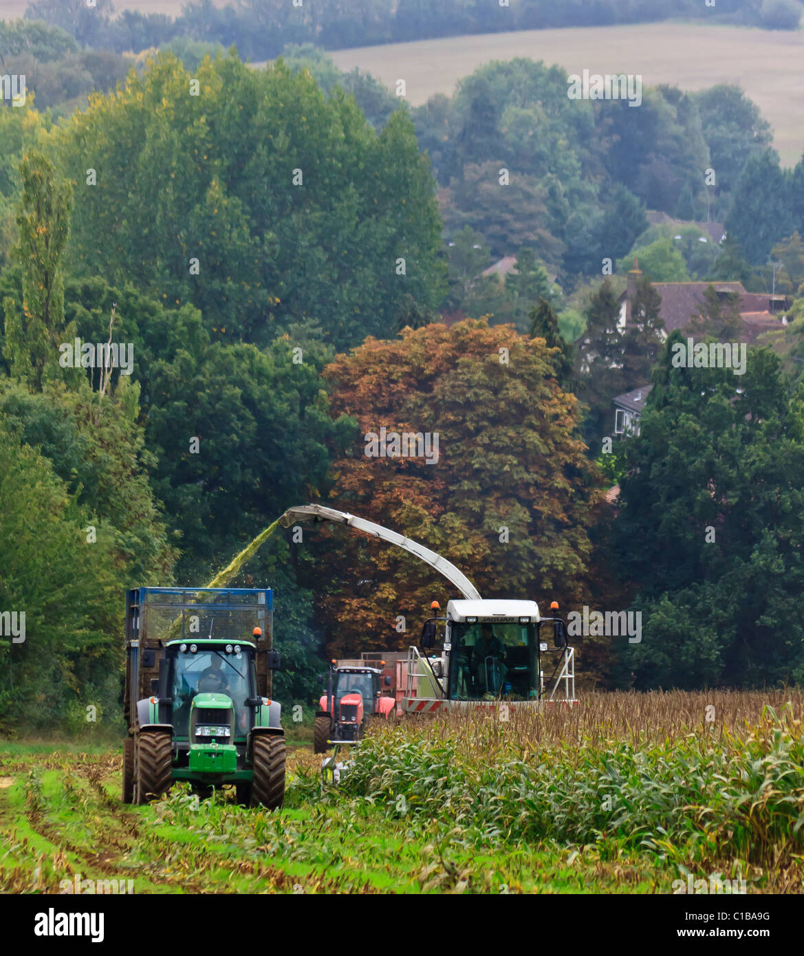 Maize harvester hi-res stock photography and images - Alamy