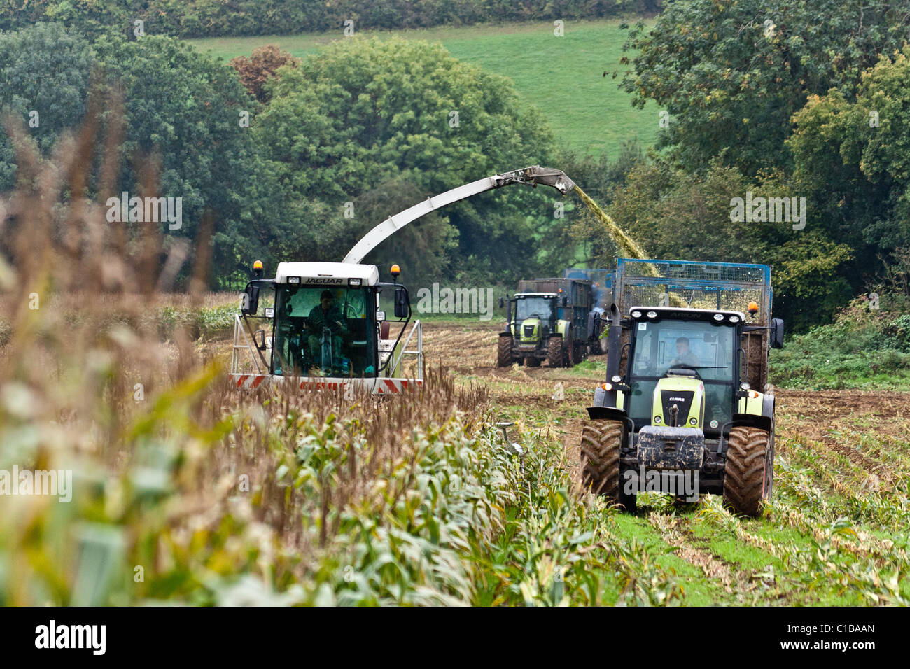 Maize harvester hi-res stock photography and images - Alamy
