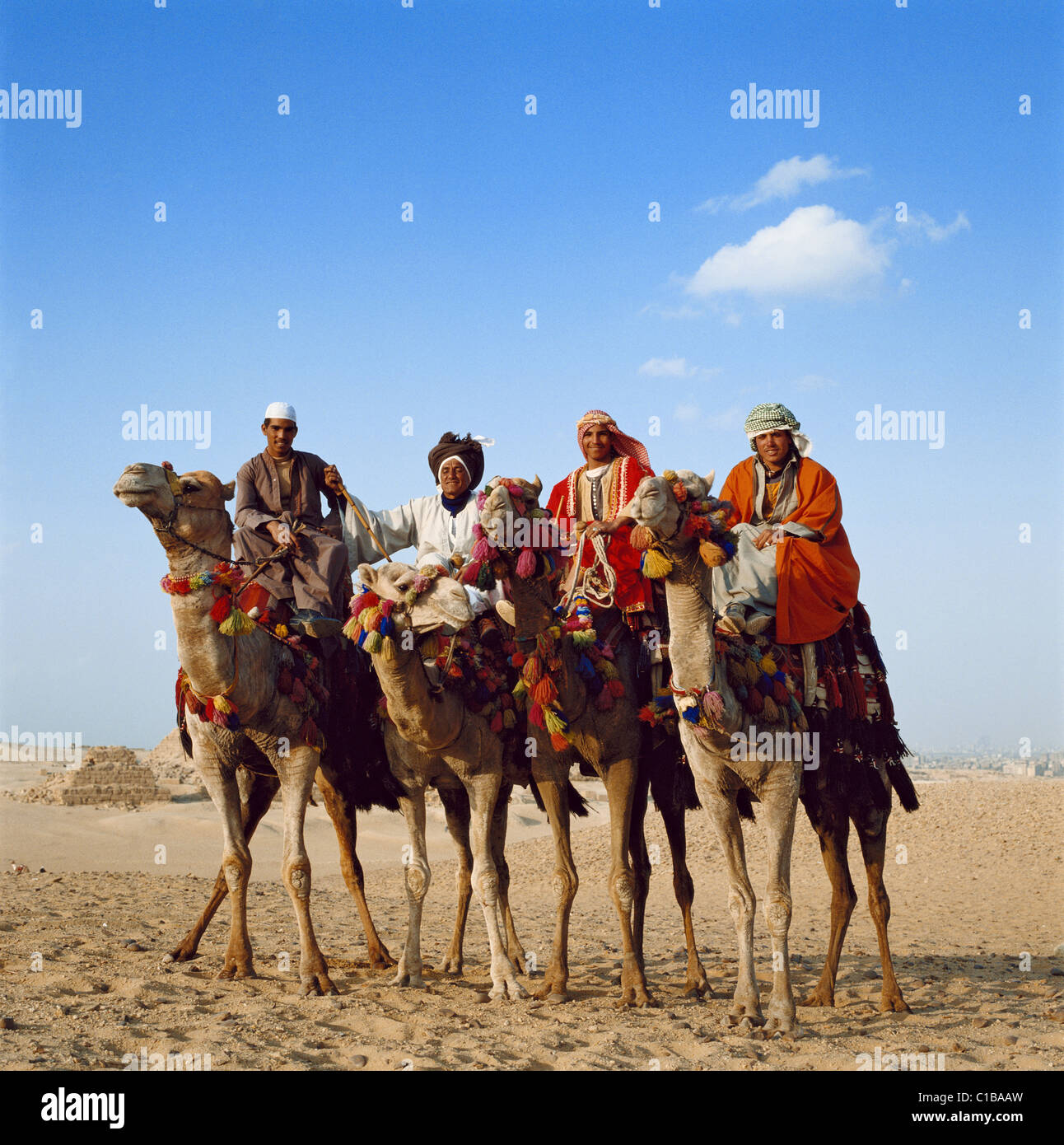Camel team hi-res stock photography and images - Alamy