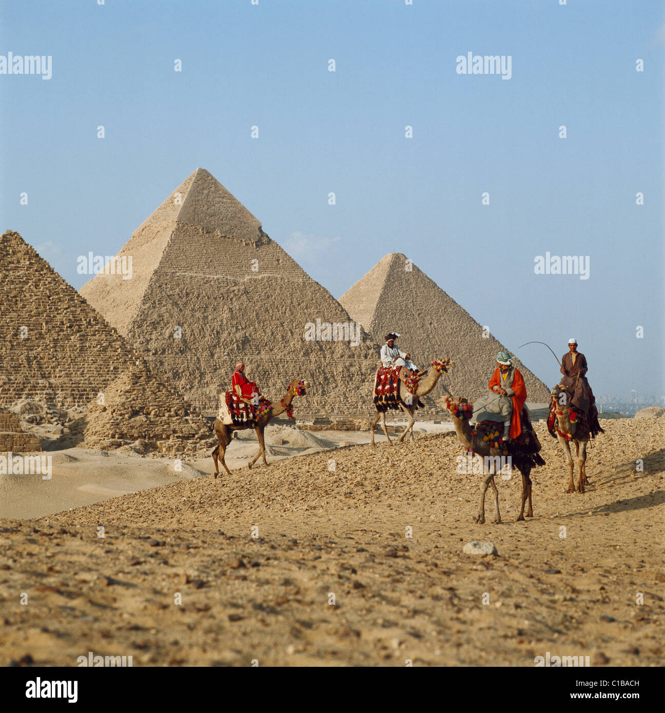 Camel Riders High Resolution Stock Photography and Images - Alamy