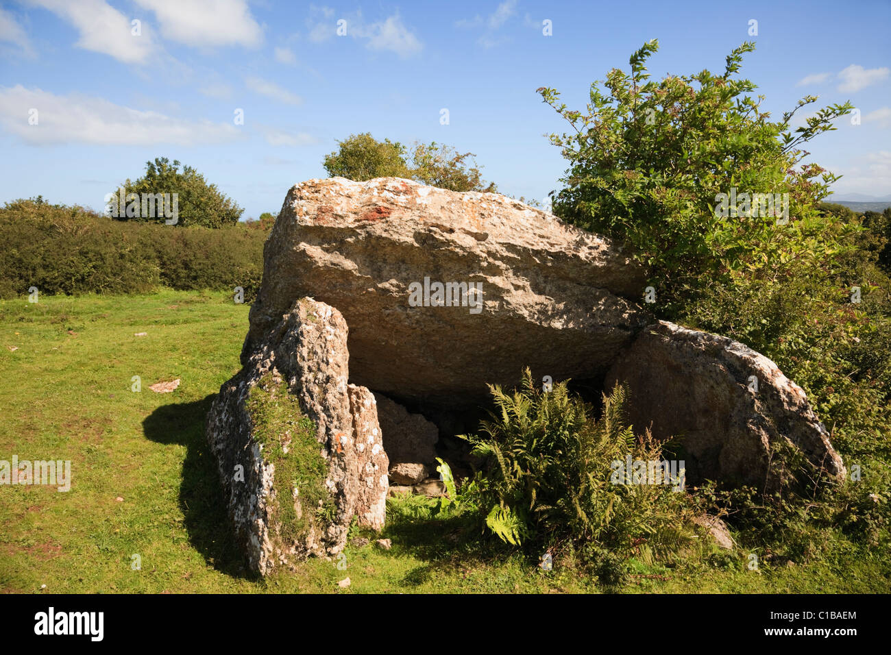Pant-y-Saer Neolithic burial chamber tomb or Cromlech. Benllech, Isle ...