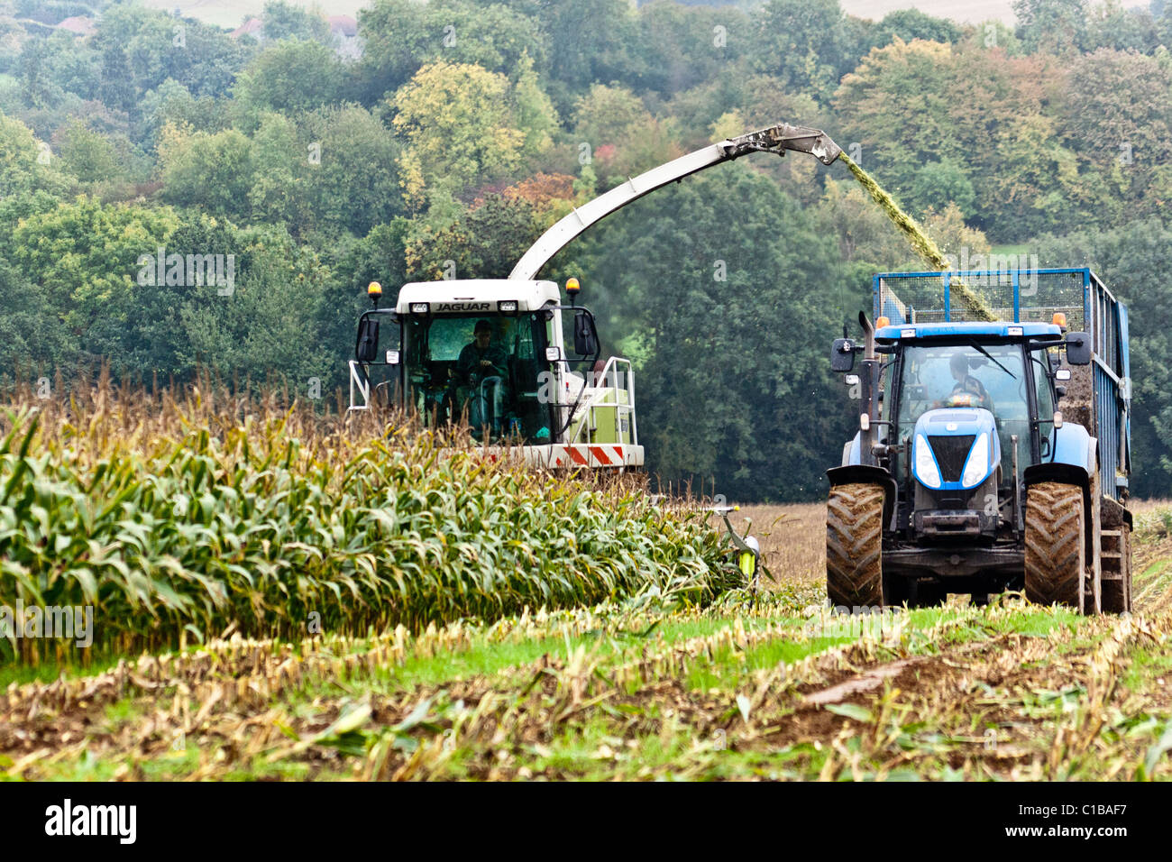 Maize harvester hi-res stock photography and images - Alamy