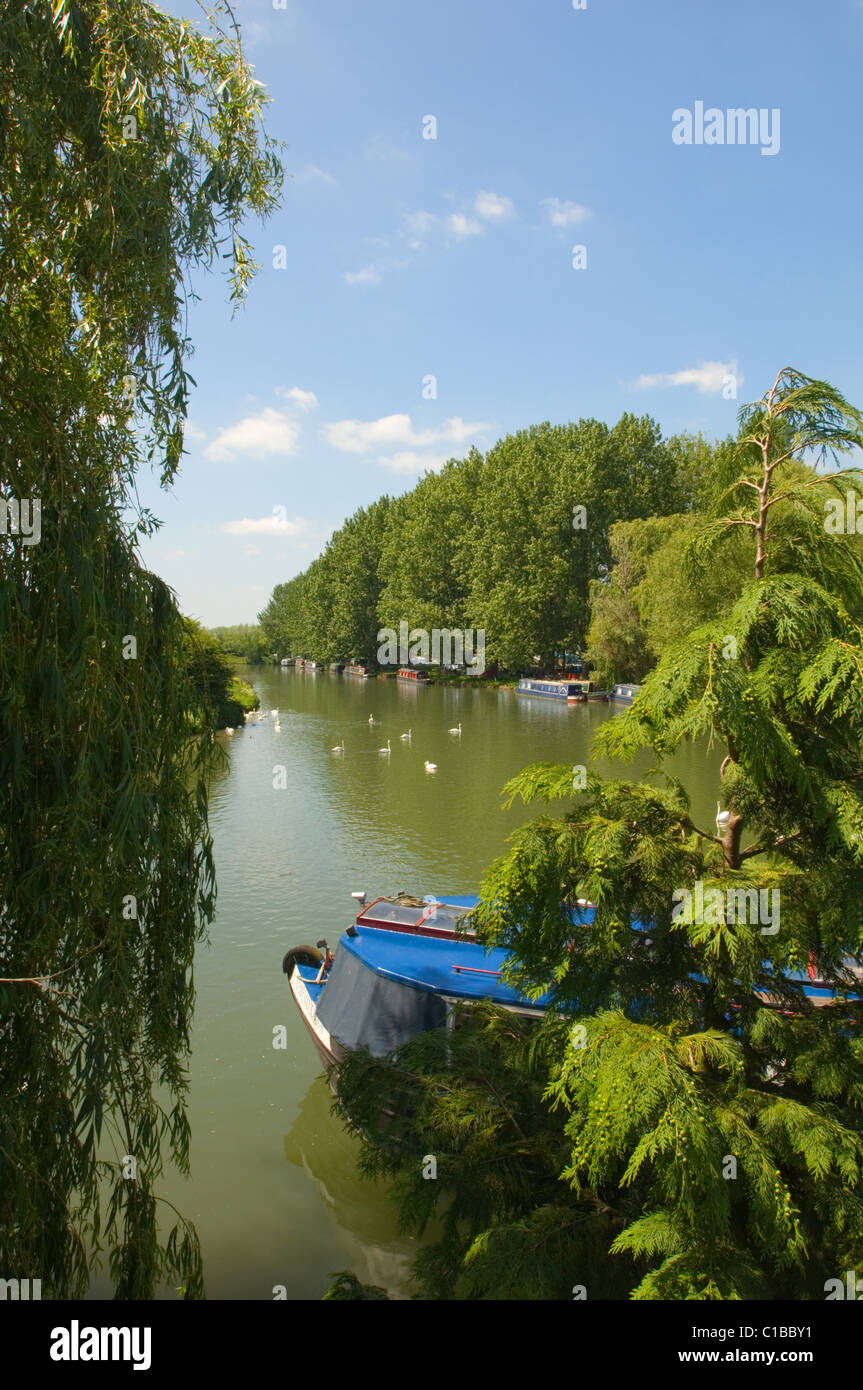 summer on river Thames Lechlade Gloucestershire United Kingdom showing ...