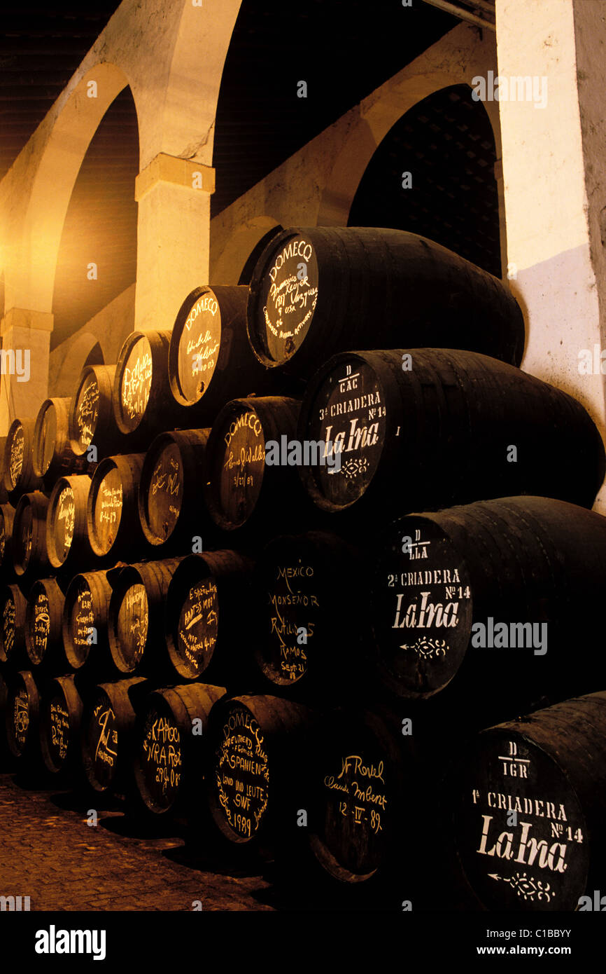 Domecq hi-res stock photography and images - Alamy