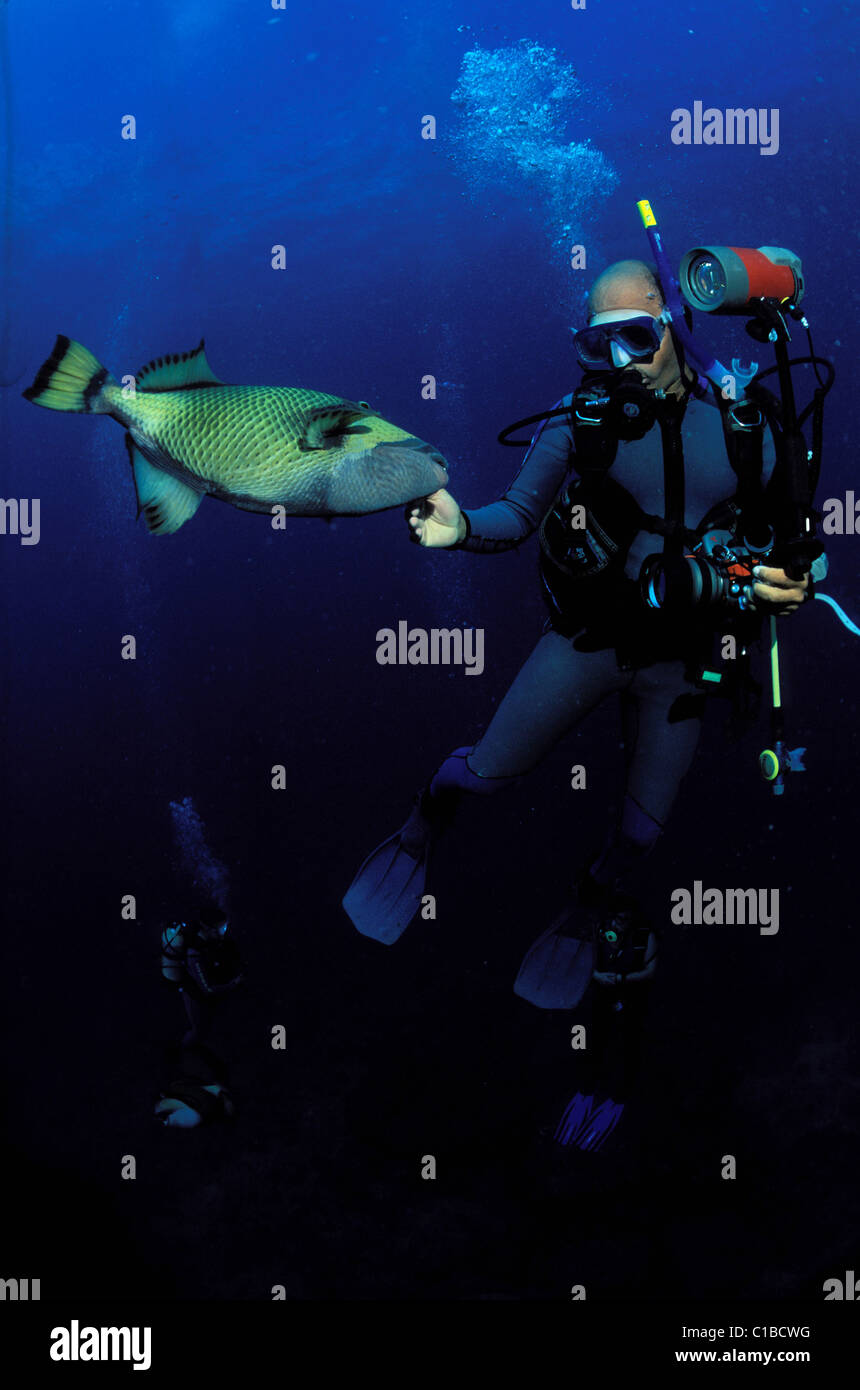 Mauritius, Peter Holt's rock, mister HVitry and the Titan trigger-fish ...