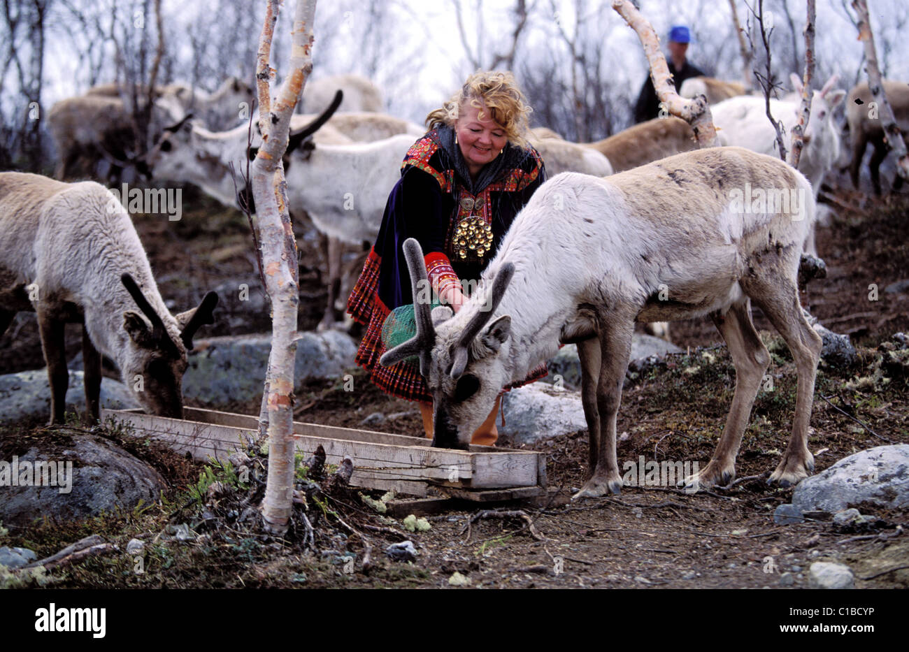 Lapp people finland hi-res stock photography and images - Alamy