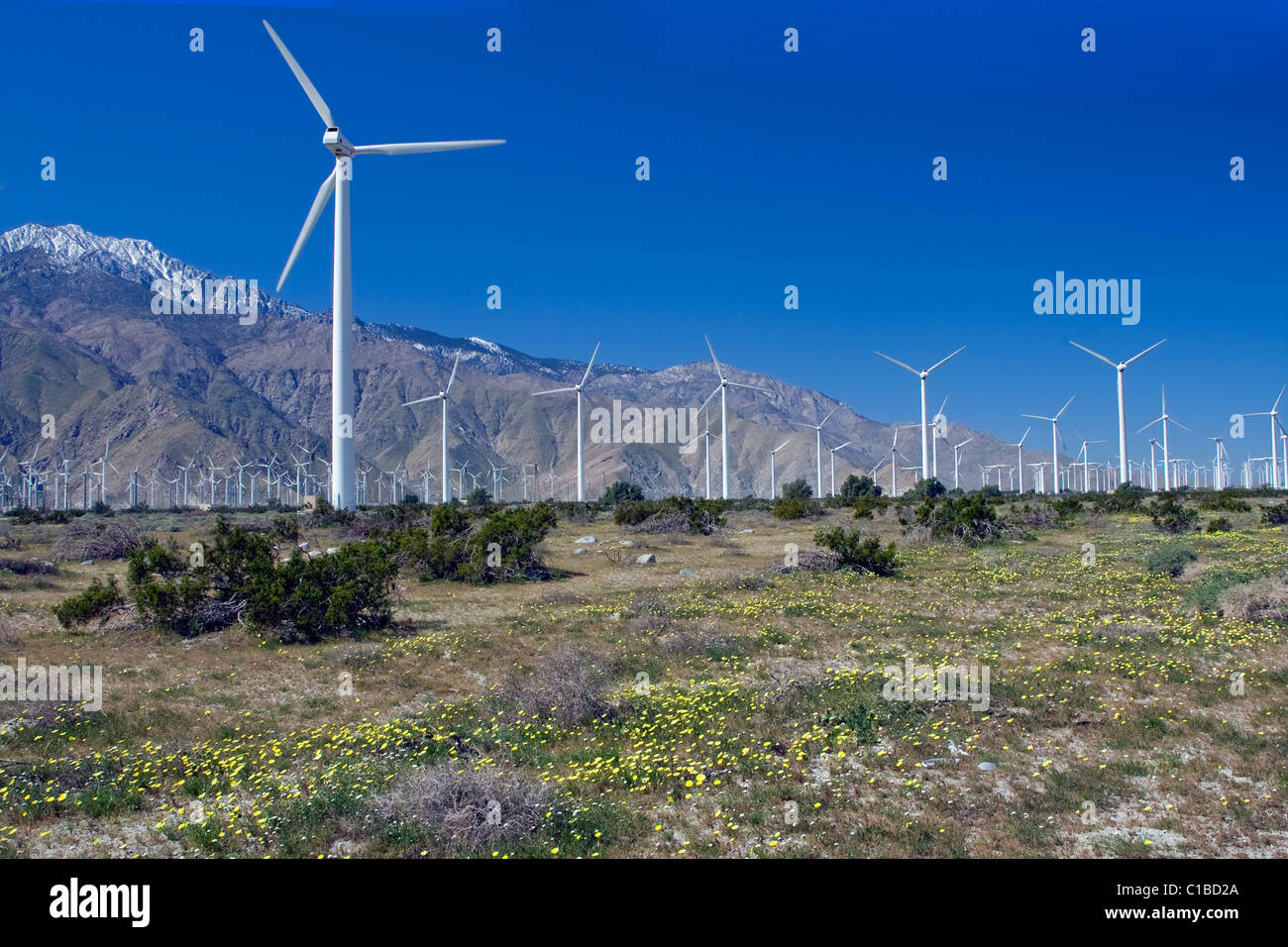 Wind energy wind farm hi-res stock photography and images - Alamy
